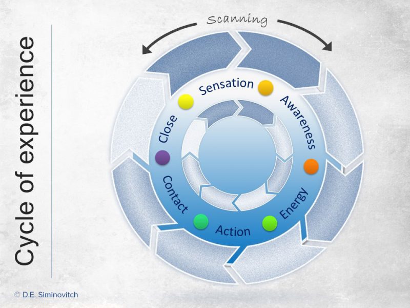 cycle-of-experience-chart - Psihoterapeut.rs